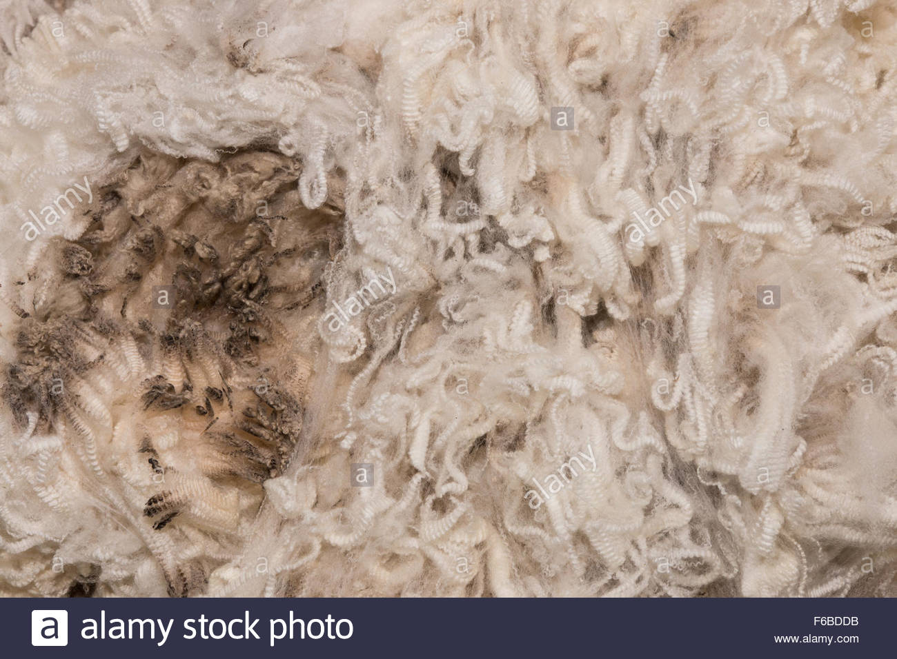 Unprocessed Stock Photos & Unprocessed Stock Images - Alamy