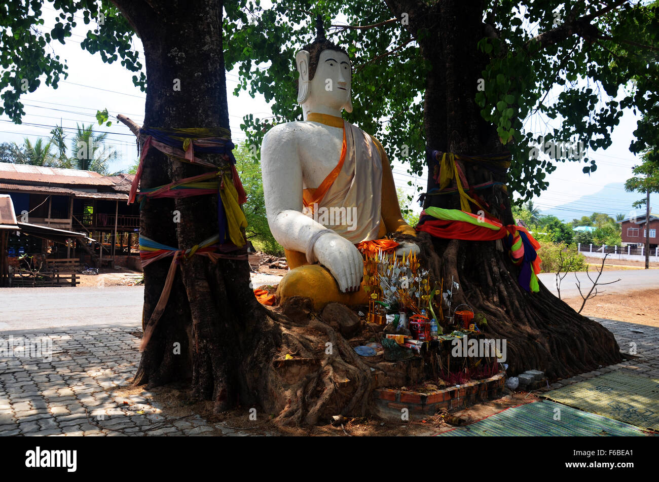 Buddha lao style in Bodhi Tree at Laos Stock Photo - Alamy