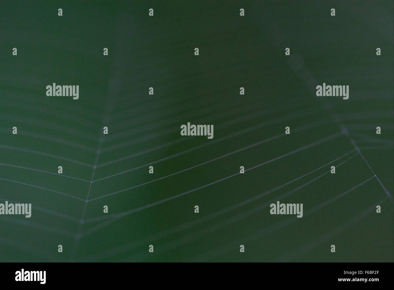 abstract white web background in the green Stock Photo - Alamy