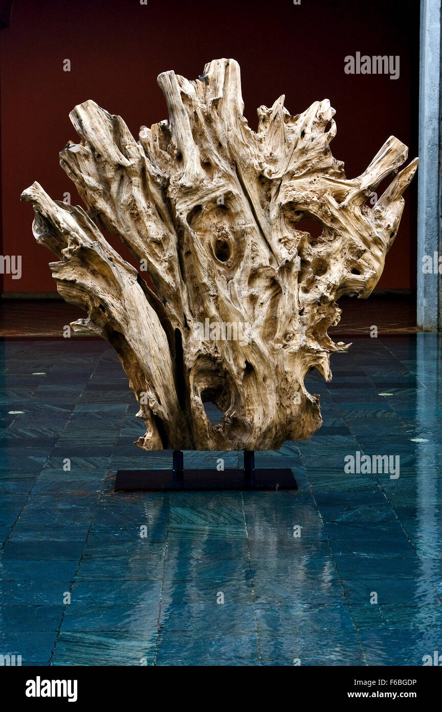 abstract sculpture incision piece of wood in the water mauritius Stock ...