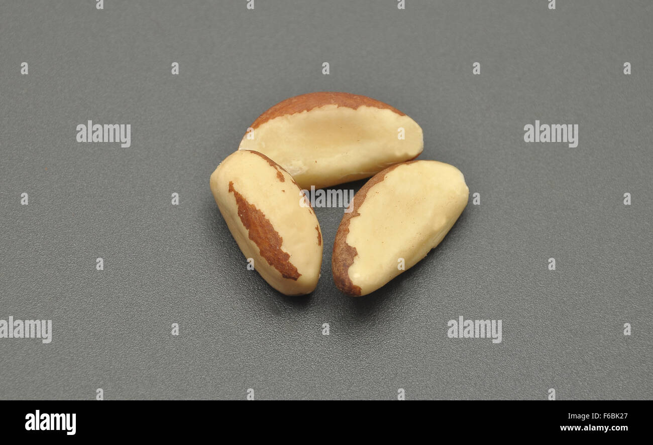 Detailed but simple image of para nut Stock Photo - Alamy