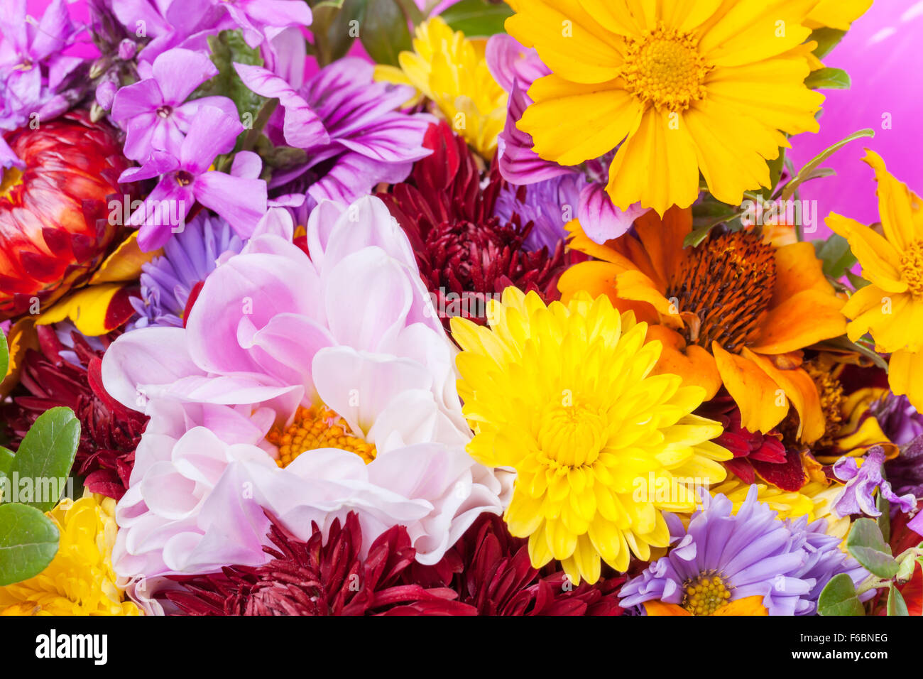 Colorful bouquet of different decorative flowers, closeup photo with ...