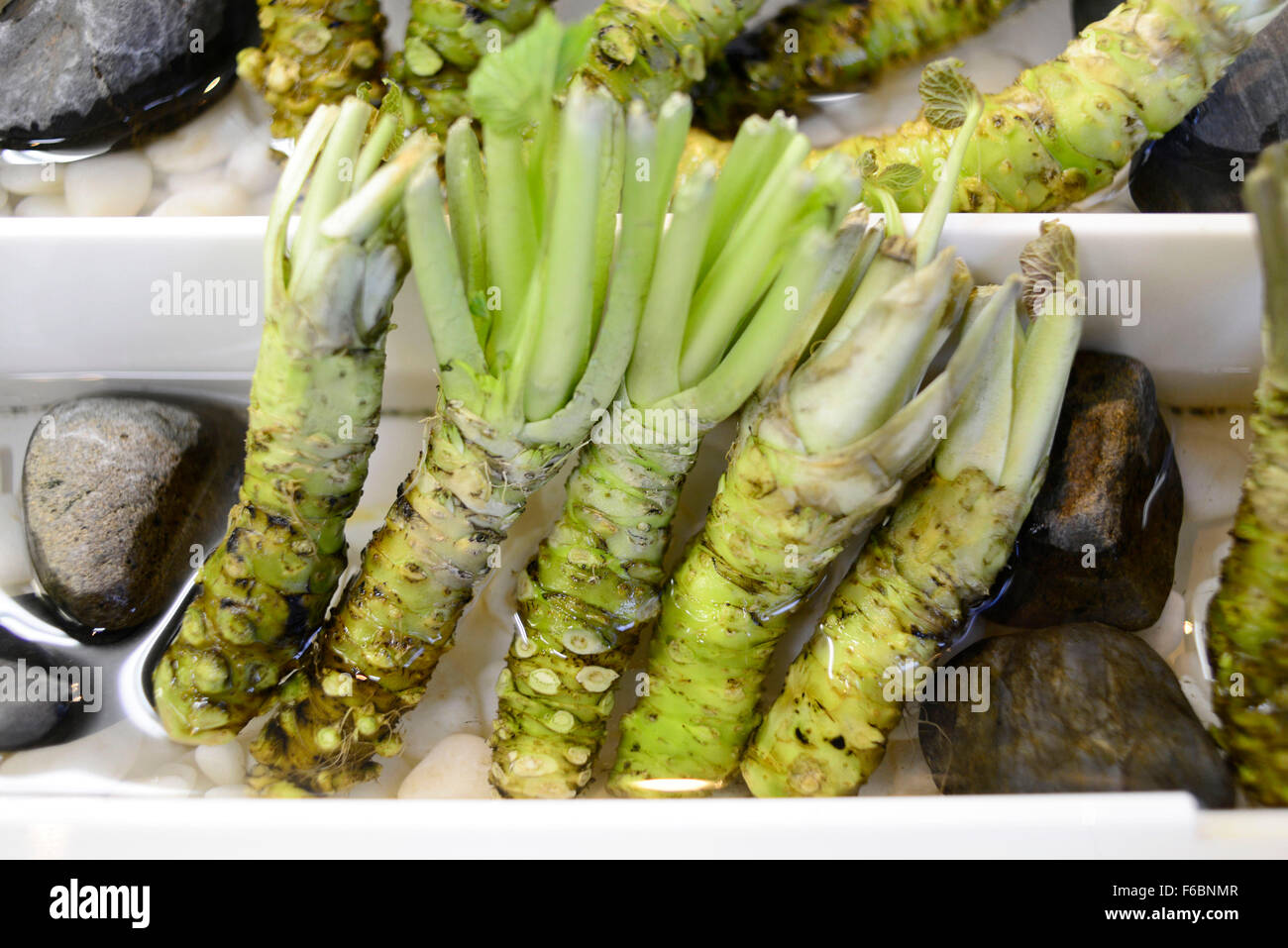 Wasabi condiment hi-res stock photography and images - Alamy