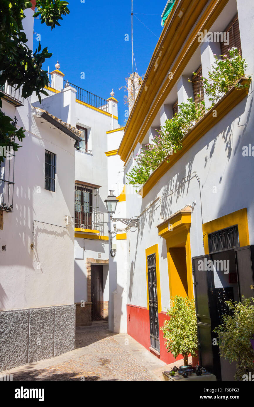 beautiful streets full of typical color of the Andalusian city of ...