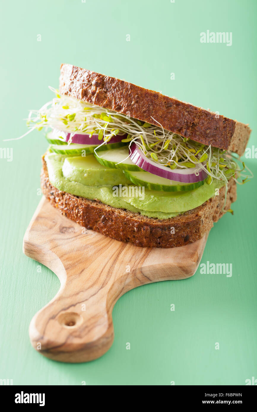 healthy avocado sandwich with cucumber alfalfa sprouts onion Stock ...