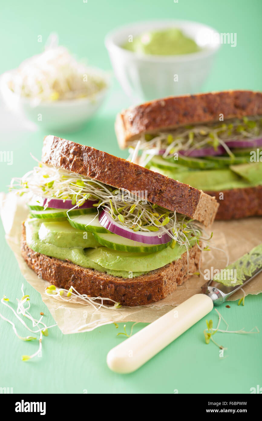 healthy avocado sandwich with cucumber alfalfa sprouts onion Stock ...