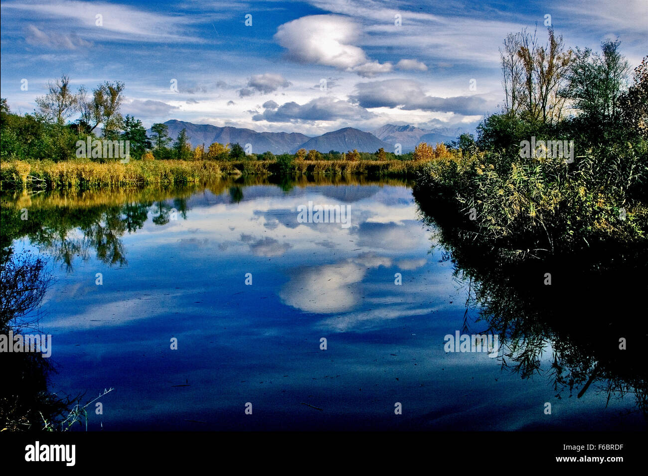 autumn lake and marsh moor marshy in the north of italy Stock Photo - Alamy