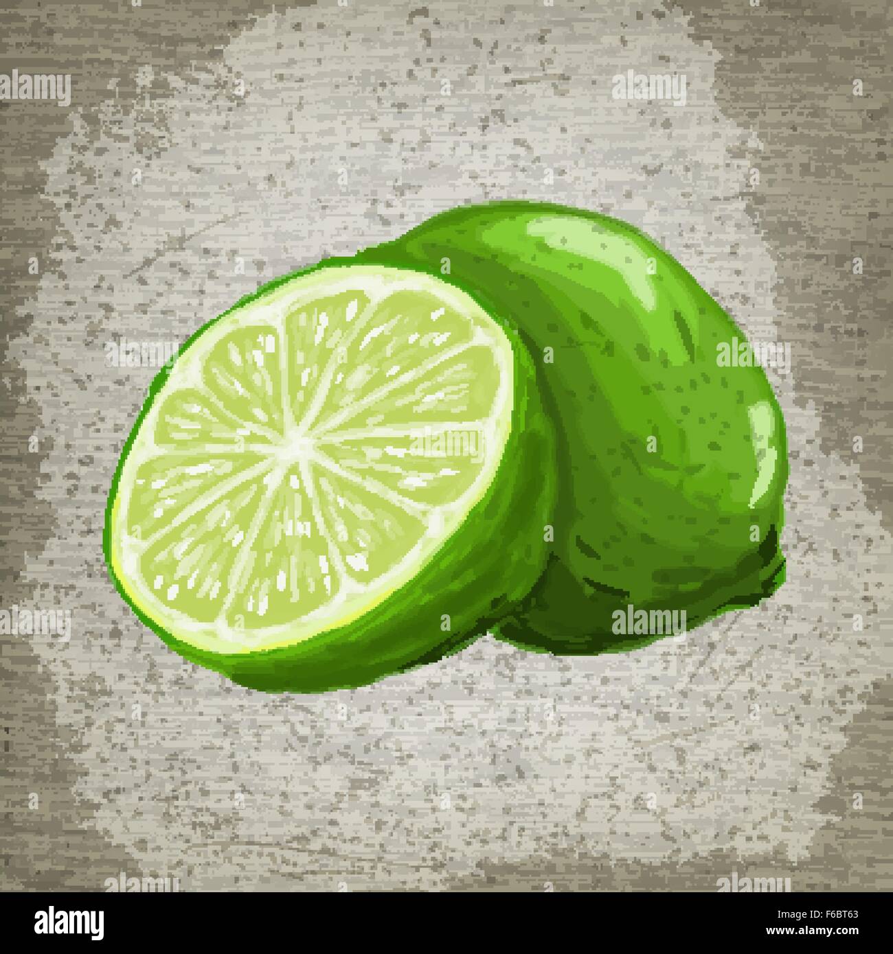 Vector illustration of fresh limes Stock Vector Image & Art - Alamy