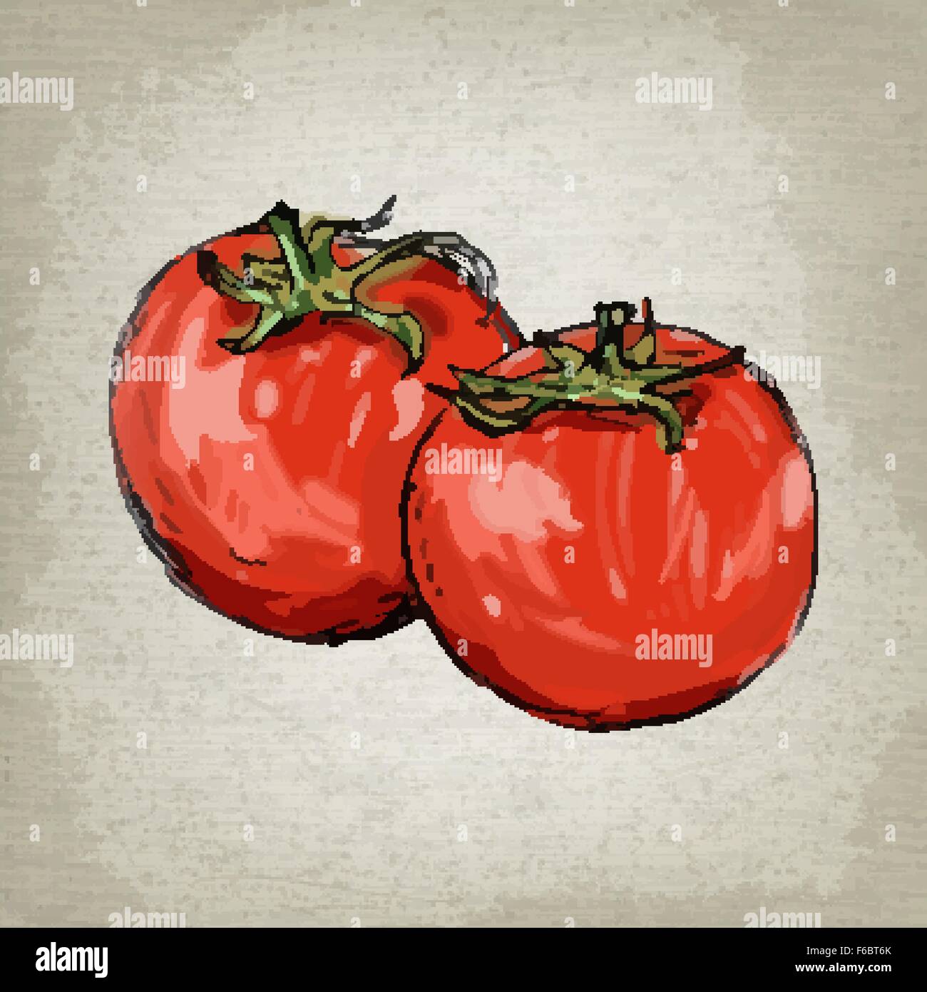 Vector fresh tomatoes. Vector illustration Stock Vector Image & Art - Alamy