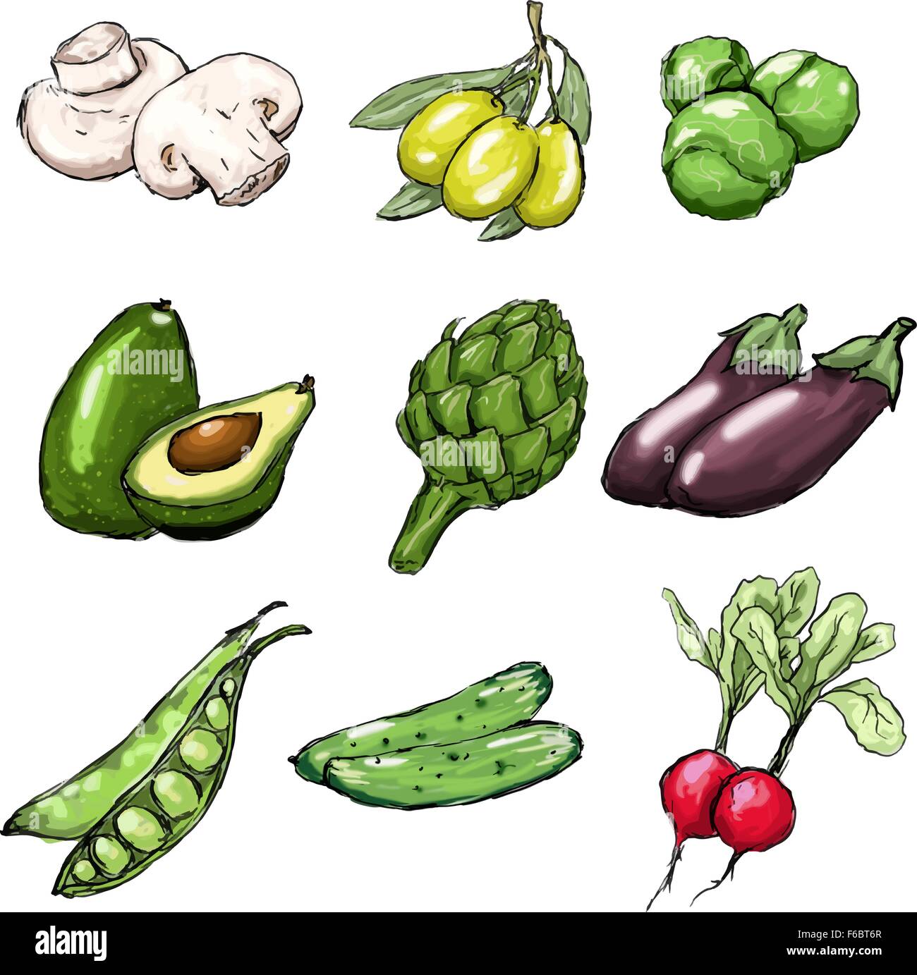Vegetables set. Vector illustration Stock Vector Image & Art - Alamy