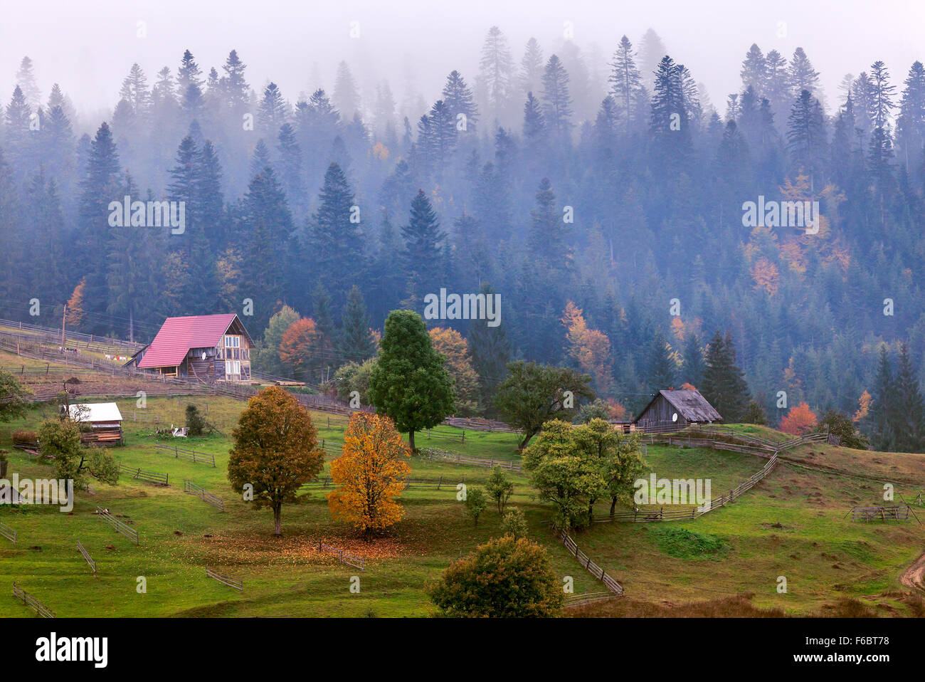 Old cabin in fall color hi-res stock photography and images - Alamy