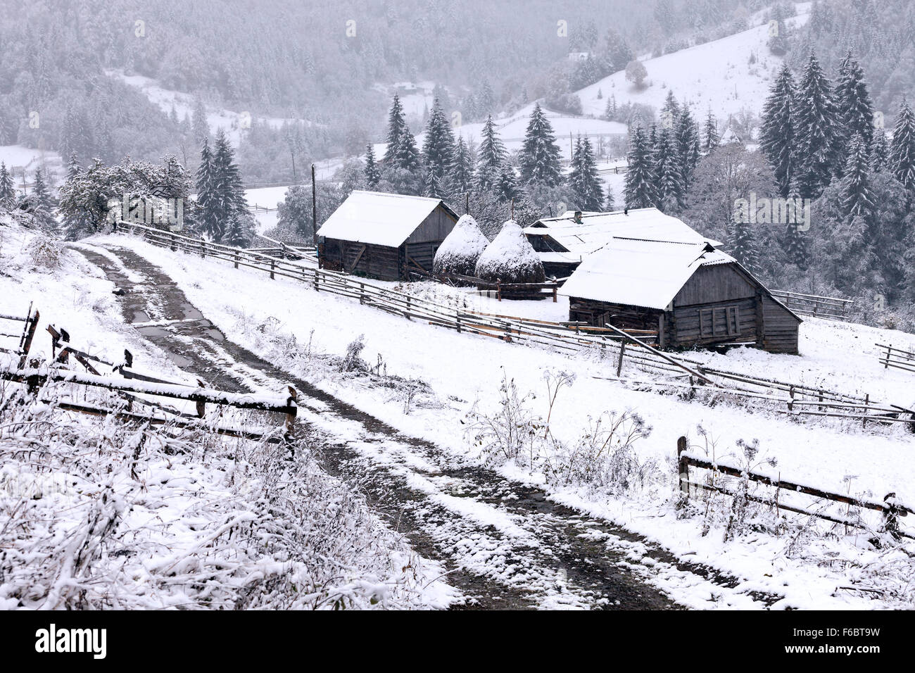 Foggy forest in winter, foggy landscape Stock Photo - Alamy