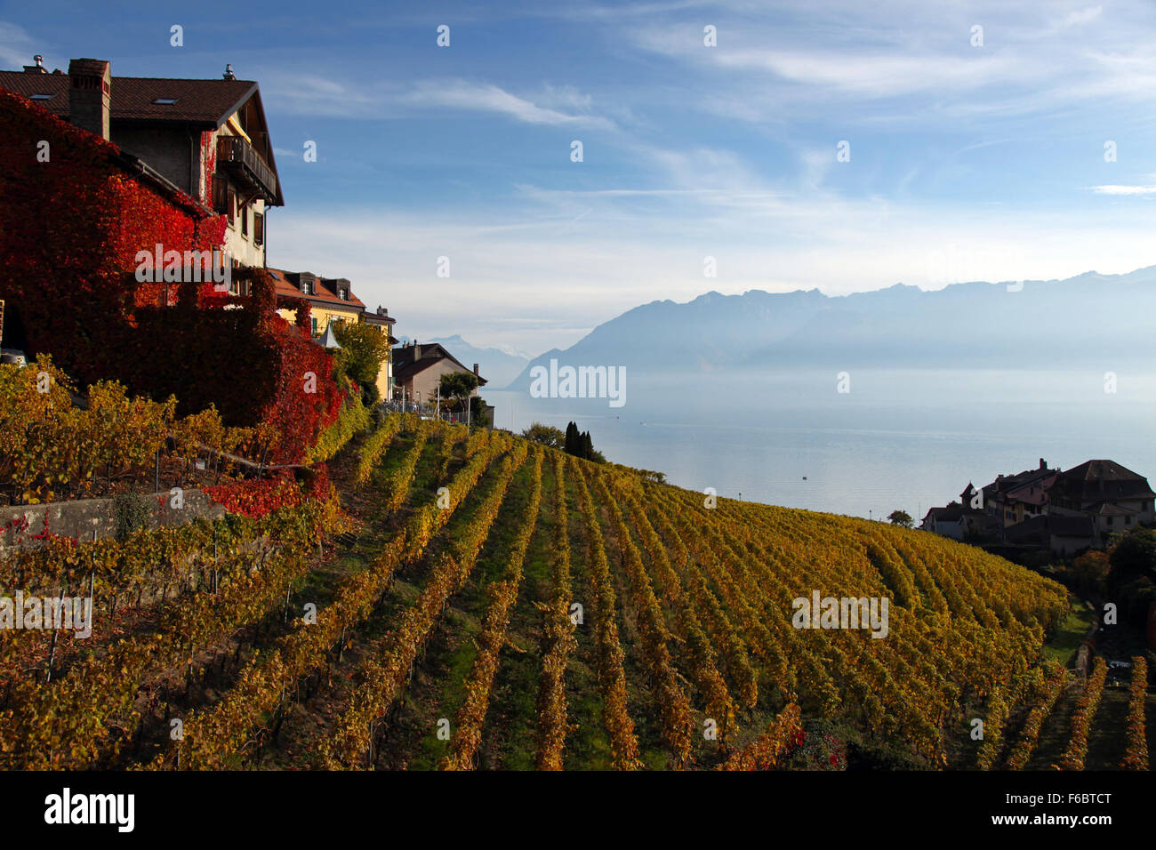 The view of Lake Geneva from the Lavaux region in the canton of Vaud ...