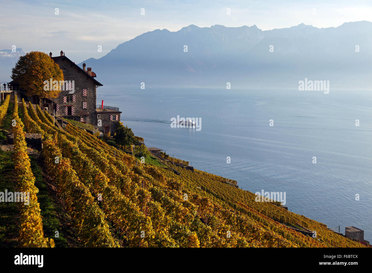 The view of Lake Geneva from the Lavaux region in the canton of Vaud ...