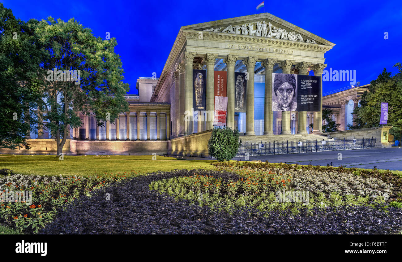 Museum fine art budapest hi-res stock photography and images - Alamy