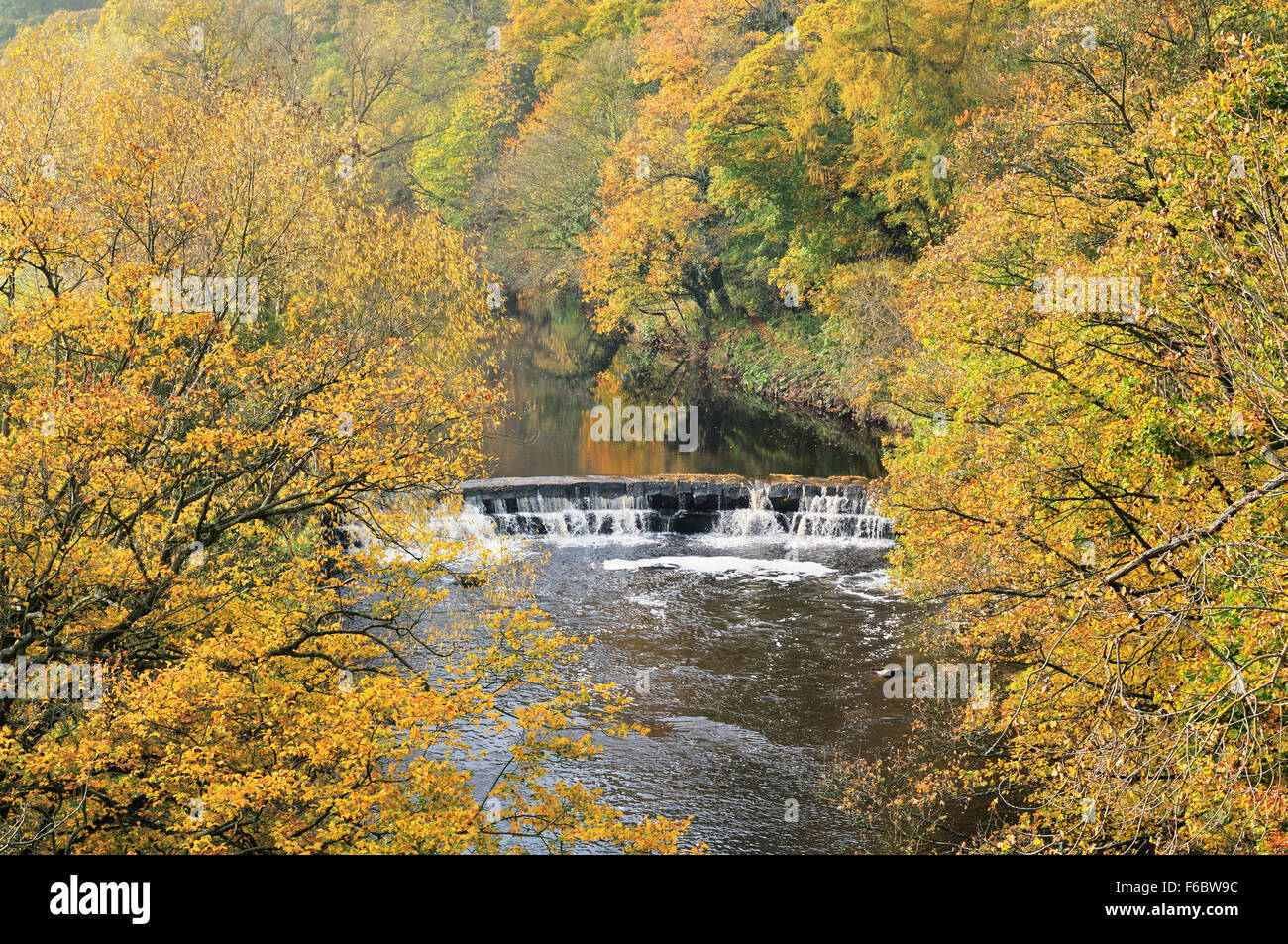 River Esk, North Yorkshire, England, UK Stock Photo - Alamy