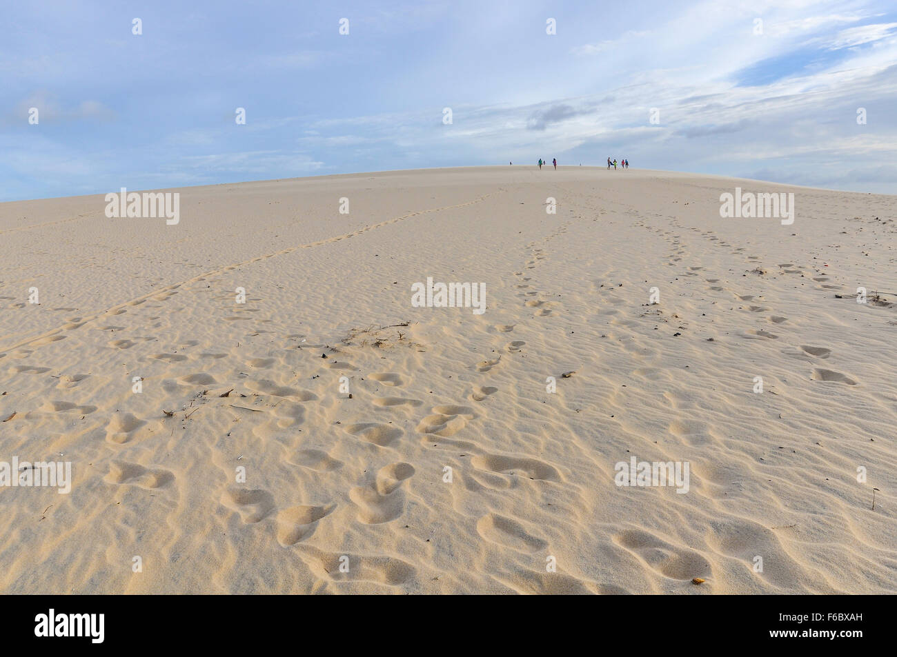 Dunes on beach in brazil hi-res stock photography and images - Alamy