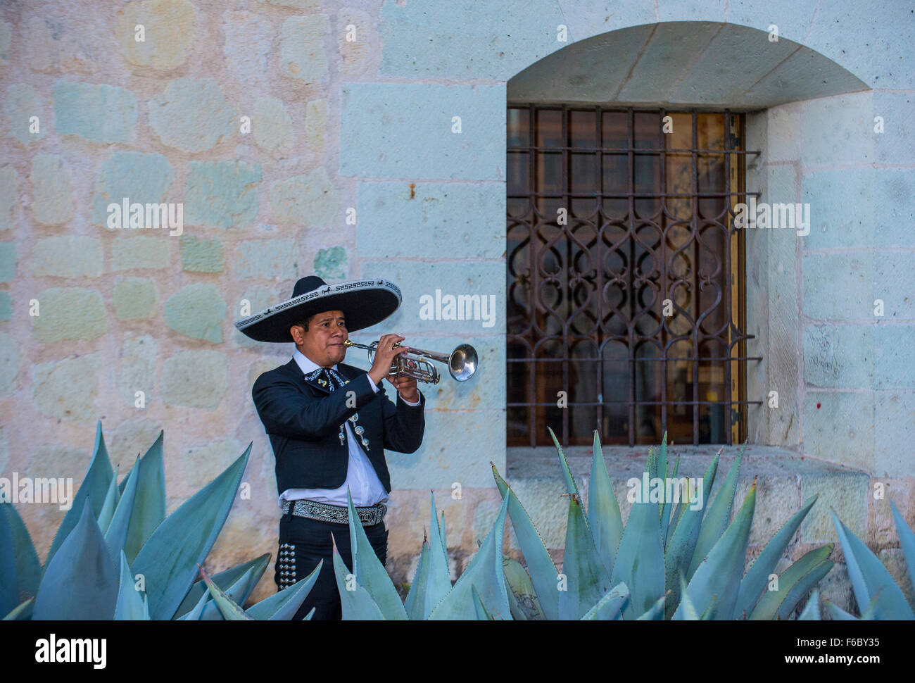 Mariachi perform during the carnival of the Day of the Dead in Oaxaca ...