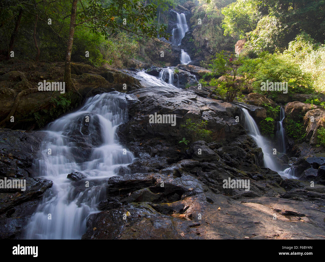 Iruppu waterfalls, coorg, karnataka, india, asia Stock Photo - Alamy