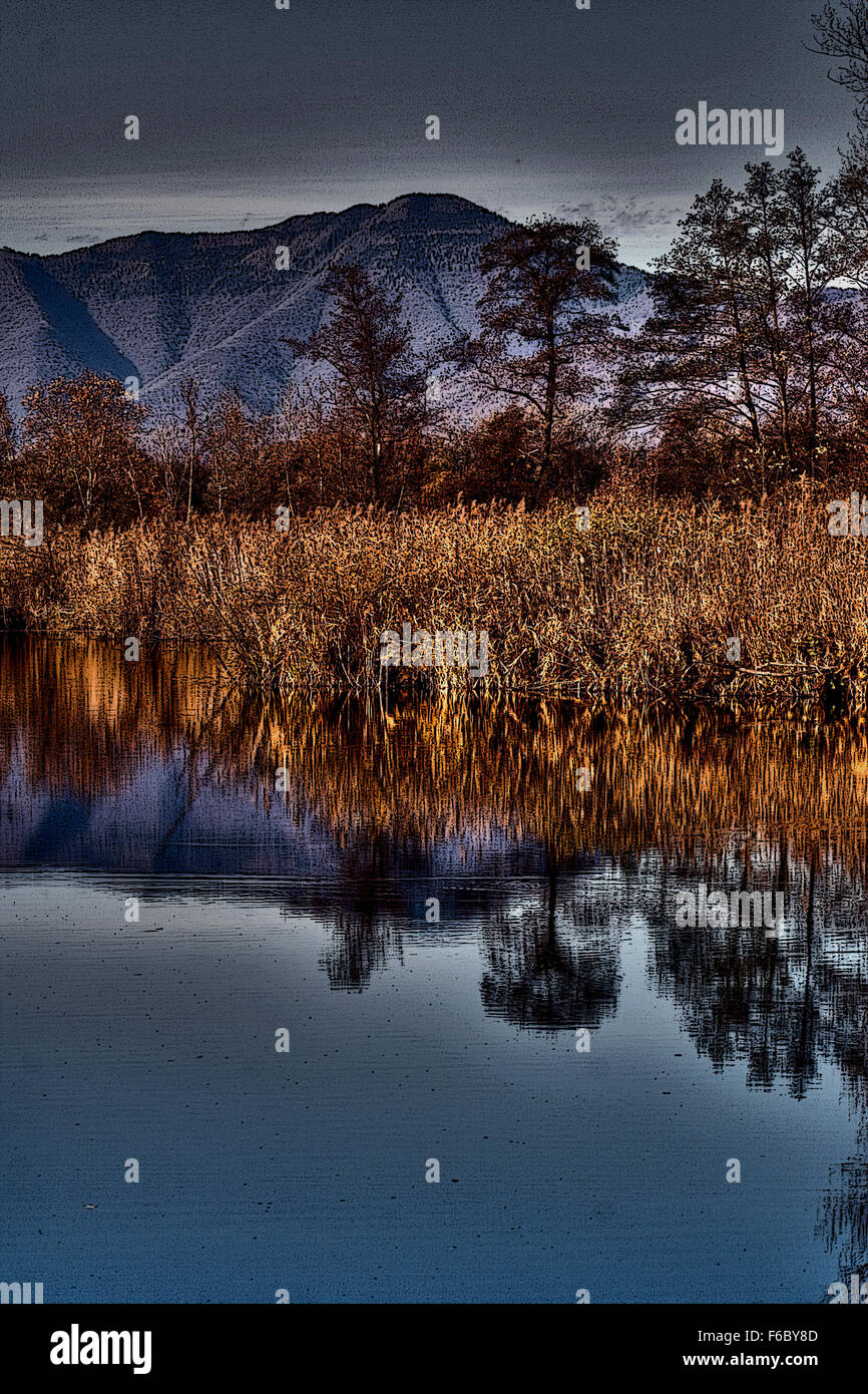 abstract autumn lake and marsh moor marshy in the north of italy Stock ...