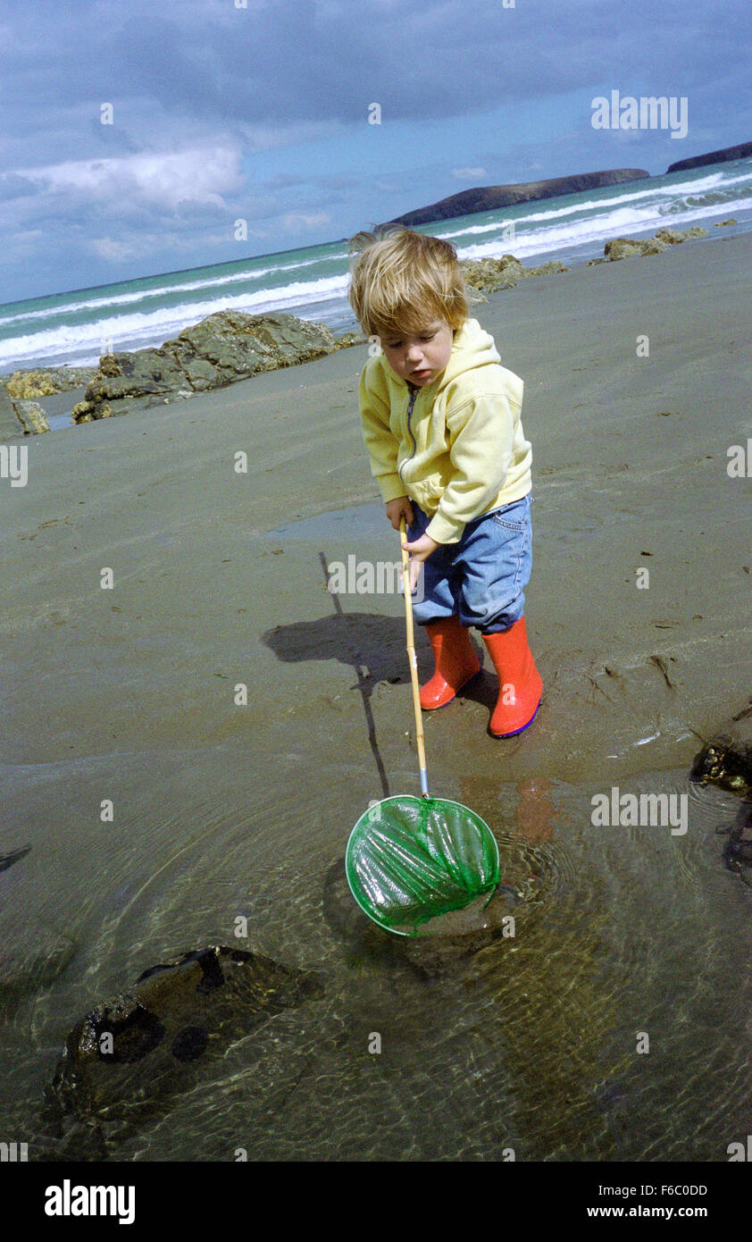 Young family crab fishing hi-res stock photography and images - Alamy