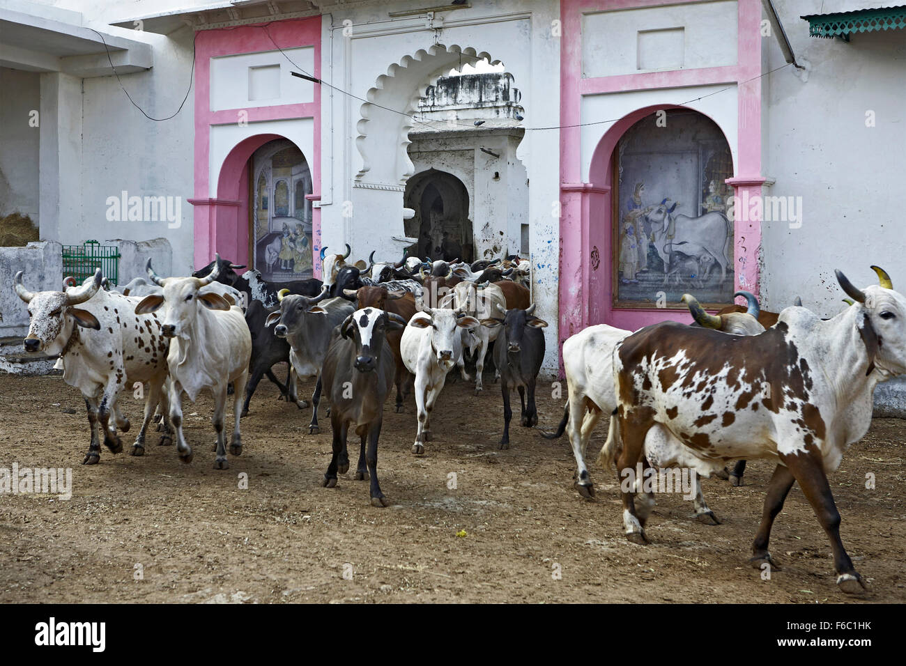 Nathdwara temple hi-res stock photography and images - Alamy