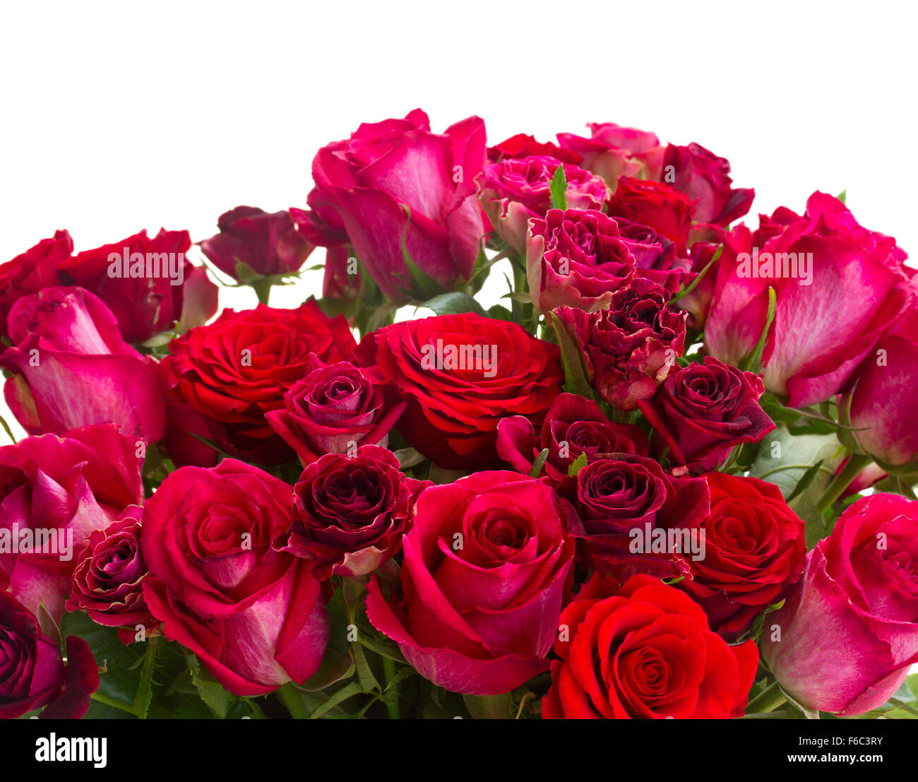 Border of red roses Stock Photo - Alamy