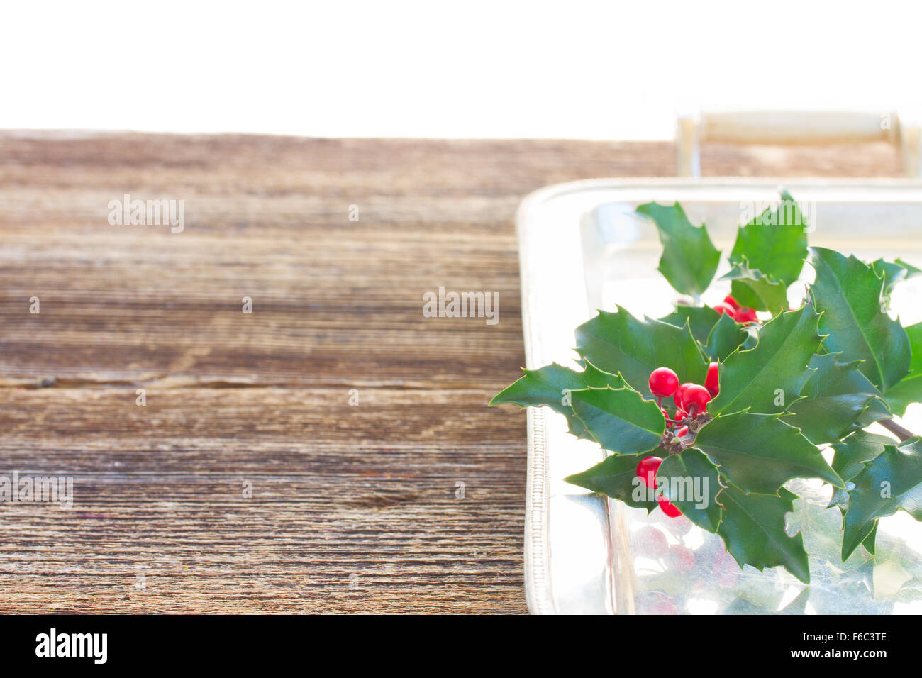 Holly fresh branch Stock Photo - Alamy