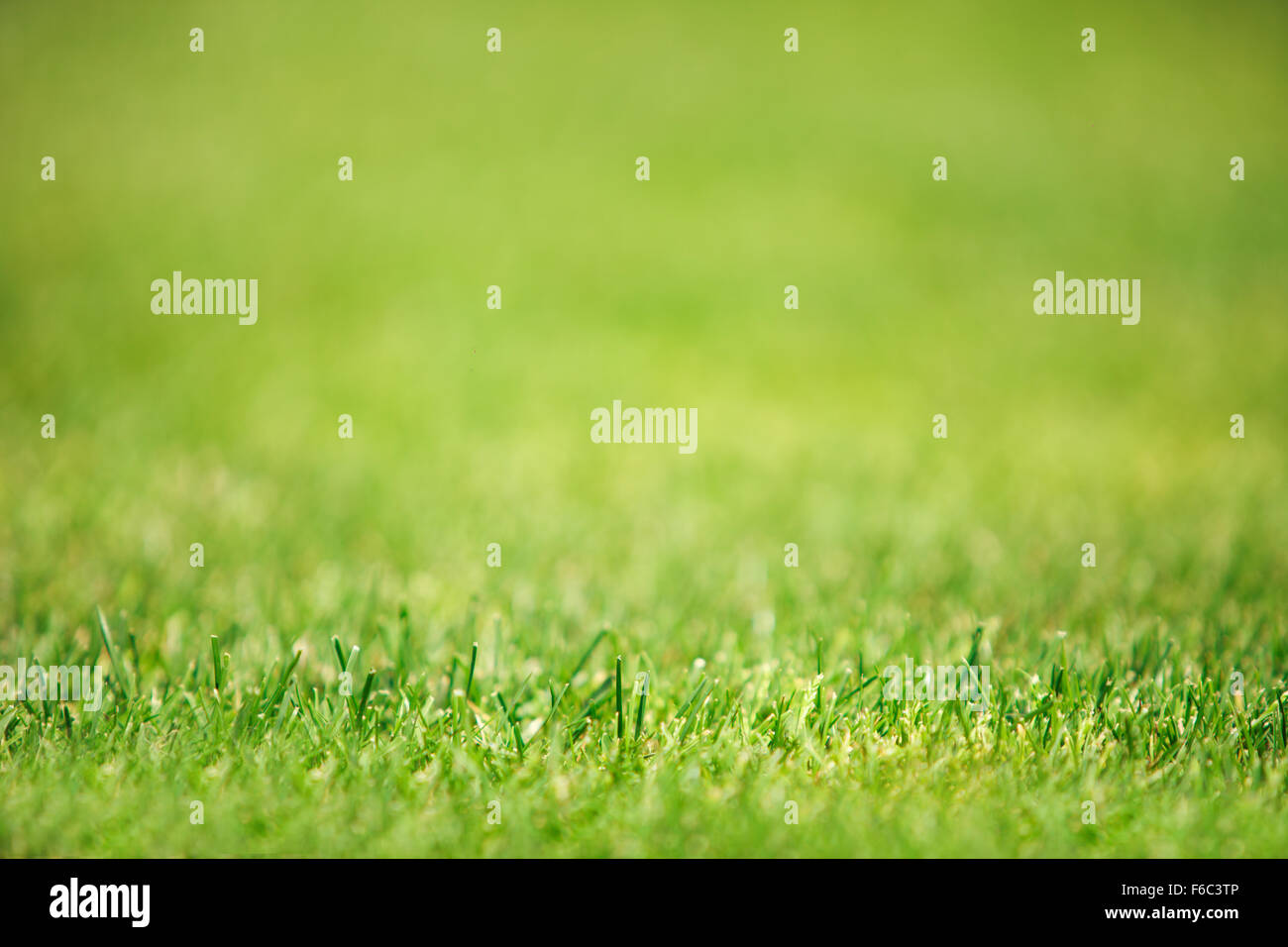 Fake field goal hi-res stock photography and images - Alamy