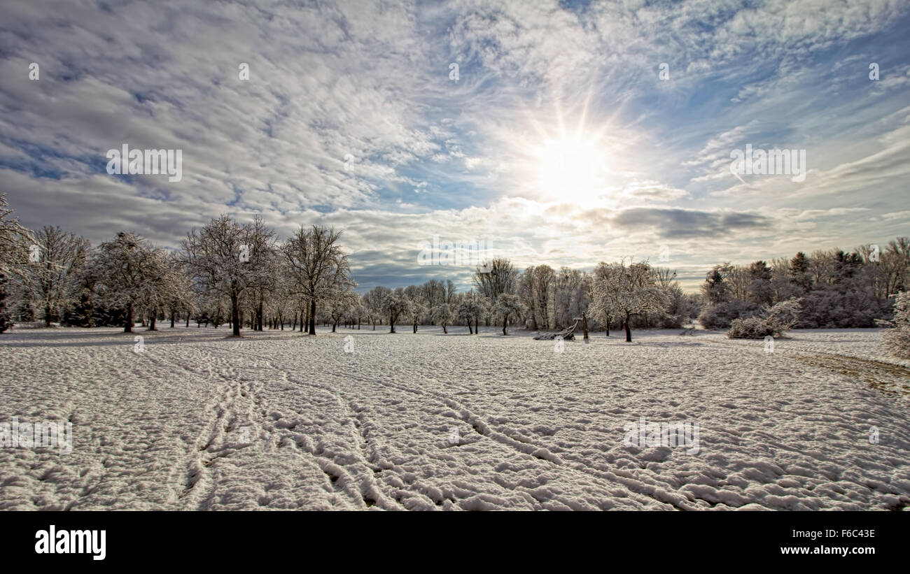 winter landscape in sunshine Stock Photo - Alamy