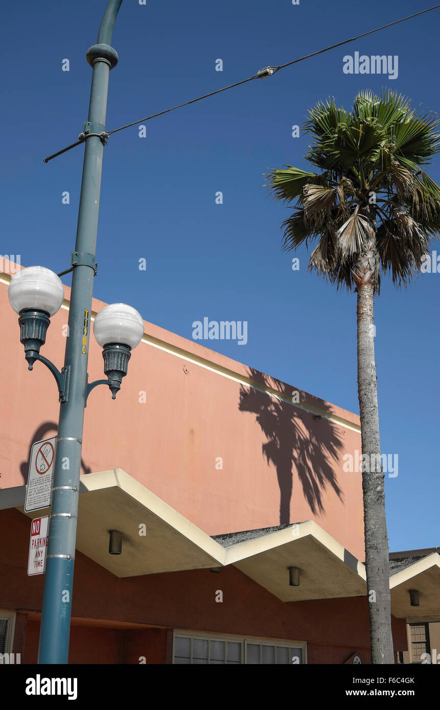 Palm tree and building, Ocean Avenue, Ingleside, San Francisco ...