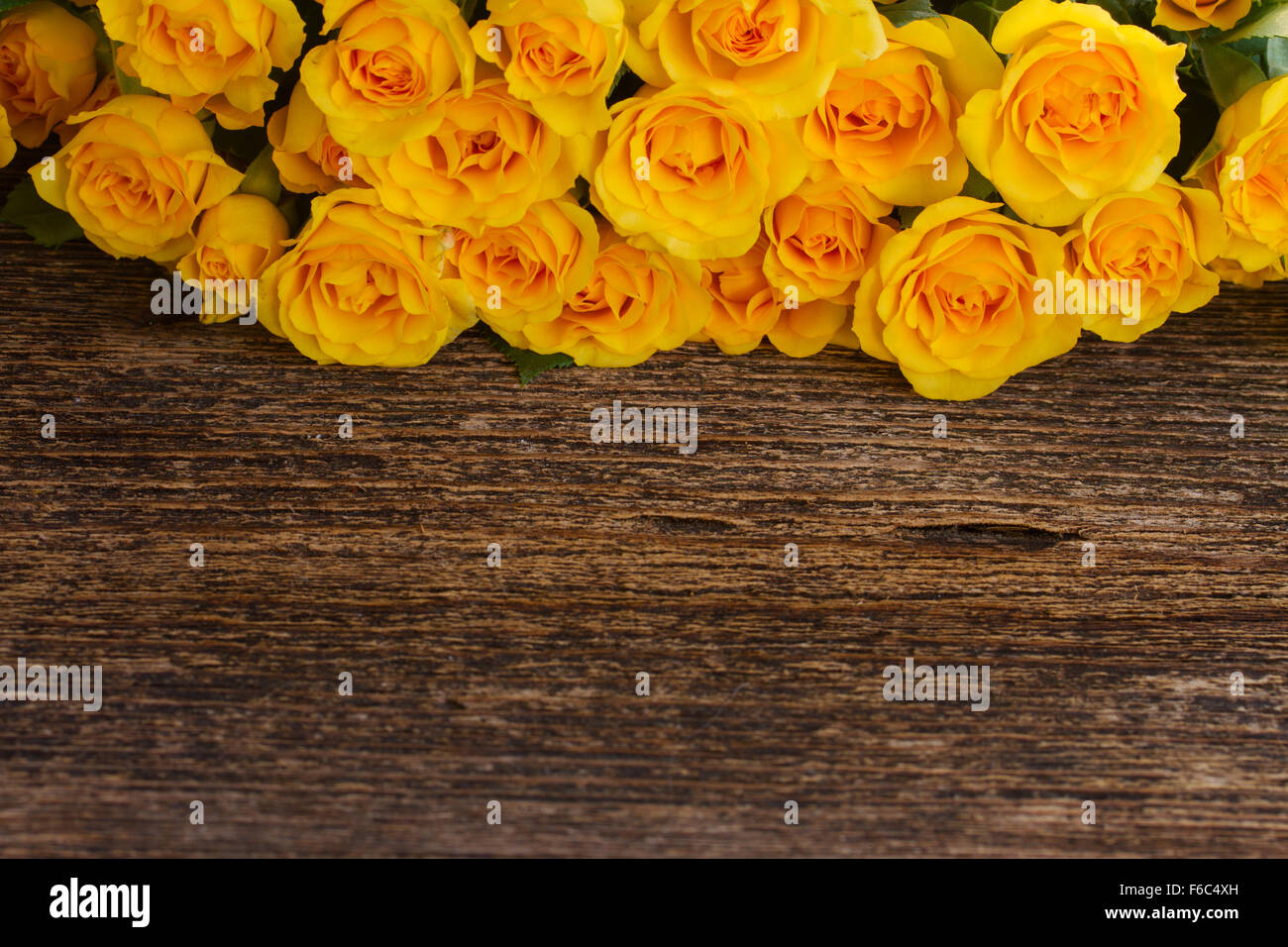 bouquet of fresh roses Stock Photo - Alamy