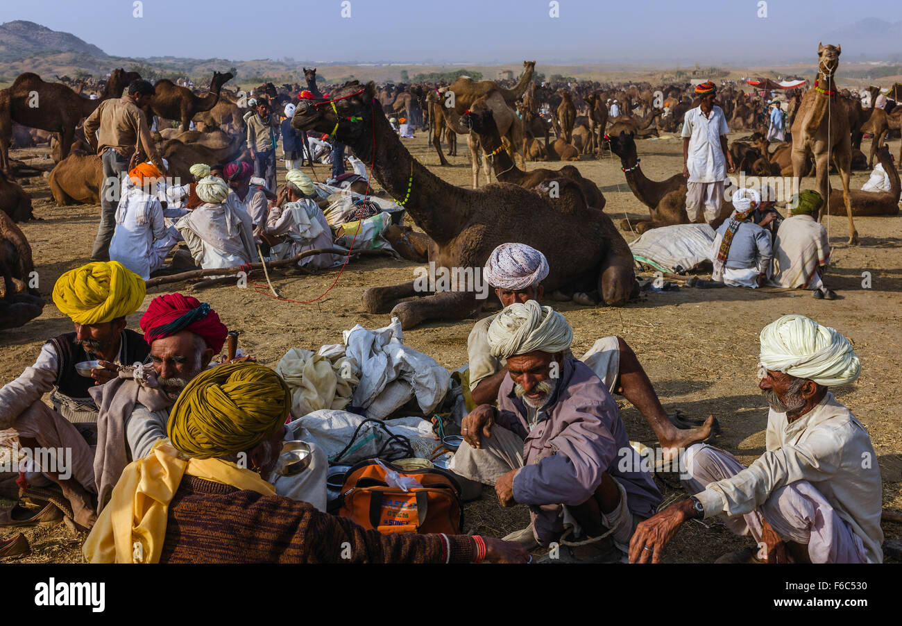 Traditional camel traders negotiate the buying and selling of camels in ...