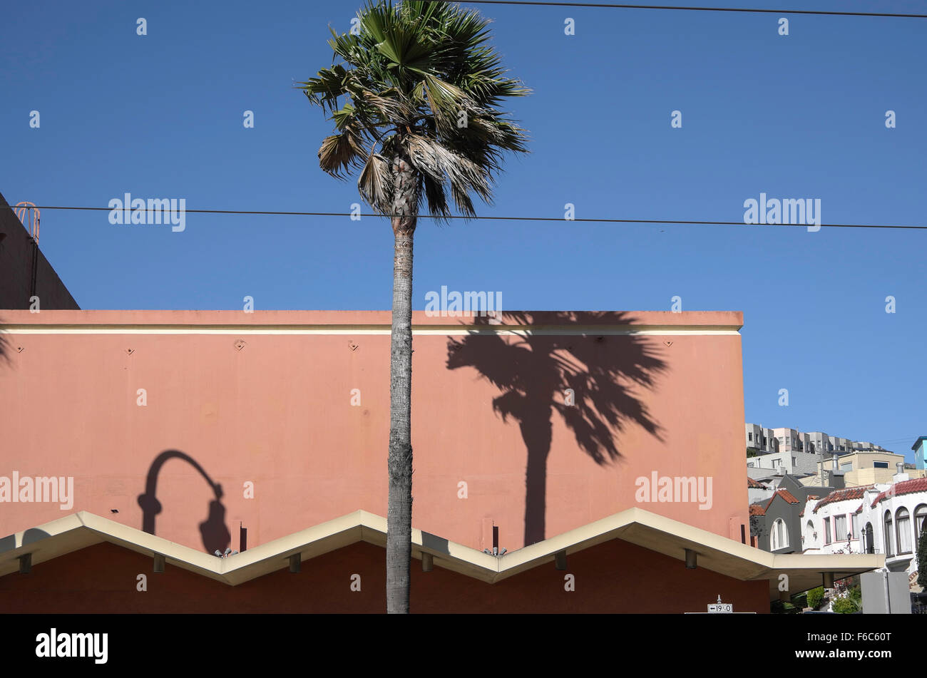 Palm tree and building, Ocean Avenue, Ingleside, San Francisco ...