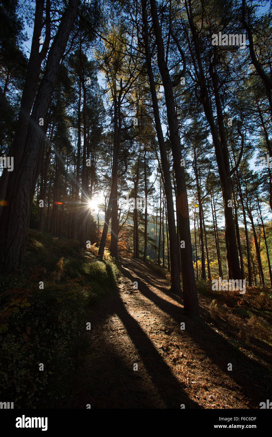 Lower shire hi-res stock photography and images - Alamy