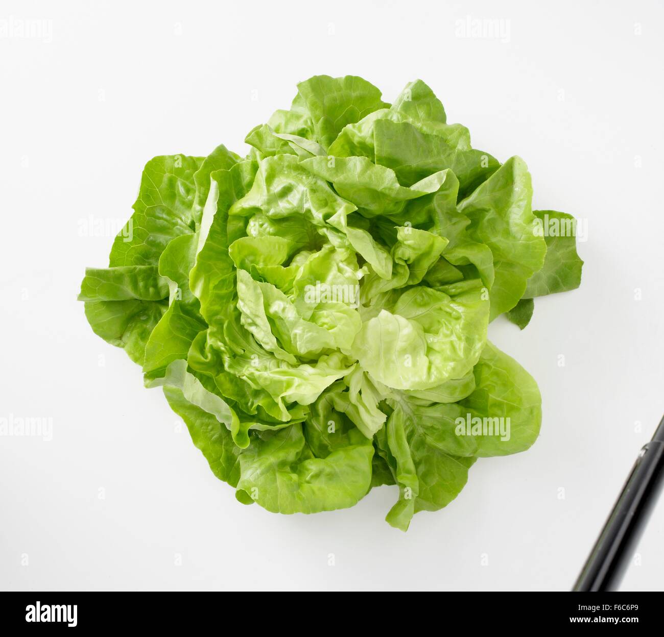 Bib outline hi-res stock photography and images - Alamy