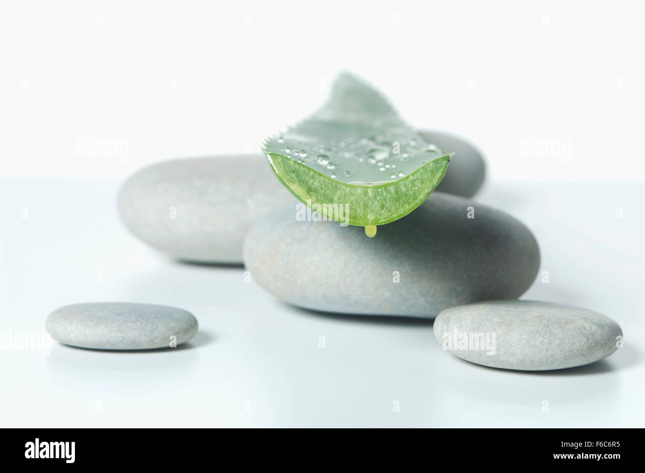 An aloe vera leaf on pebbles Stock Photo - Alamy