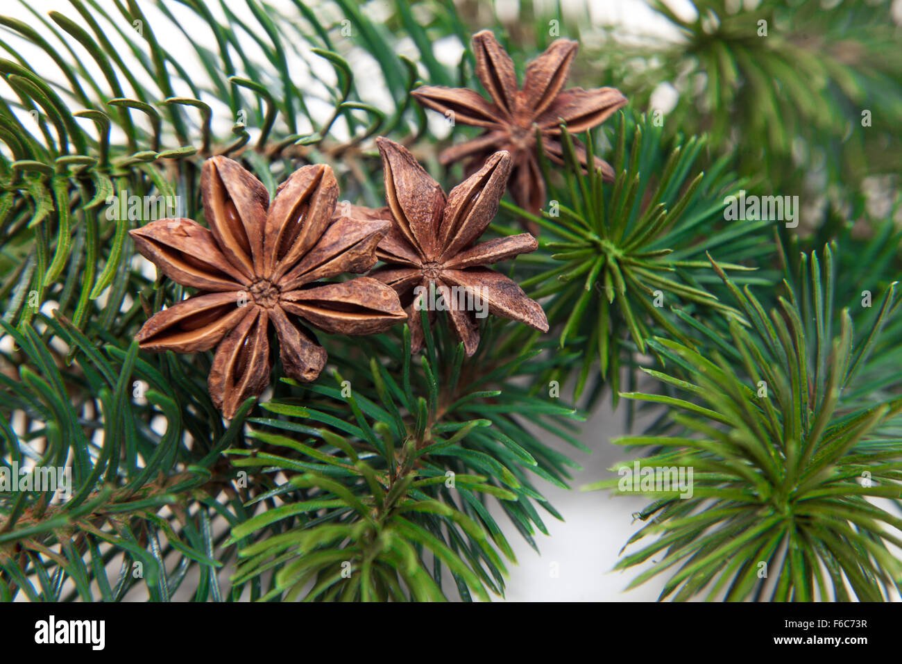 Fine star anis on wooden background Stock Photo - Alamy