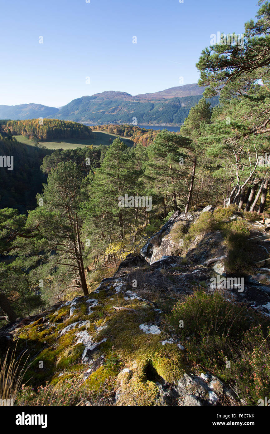 Loch Ness, Scotland. Picturesque autumnal view of the Camus Forest area ...