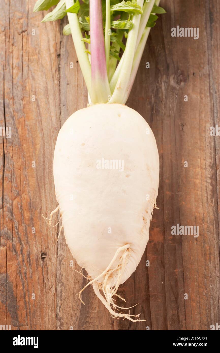 A white radish Stock Photo - Alamy