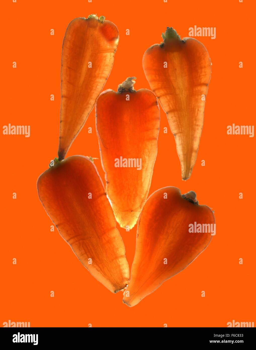 Chantenay hi-res stock photography and images - Alamy