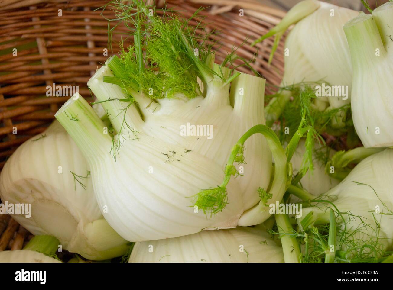 Fennel bulbs in market hi-res stock photography and images - Alamy