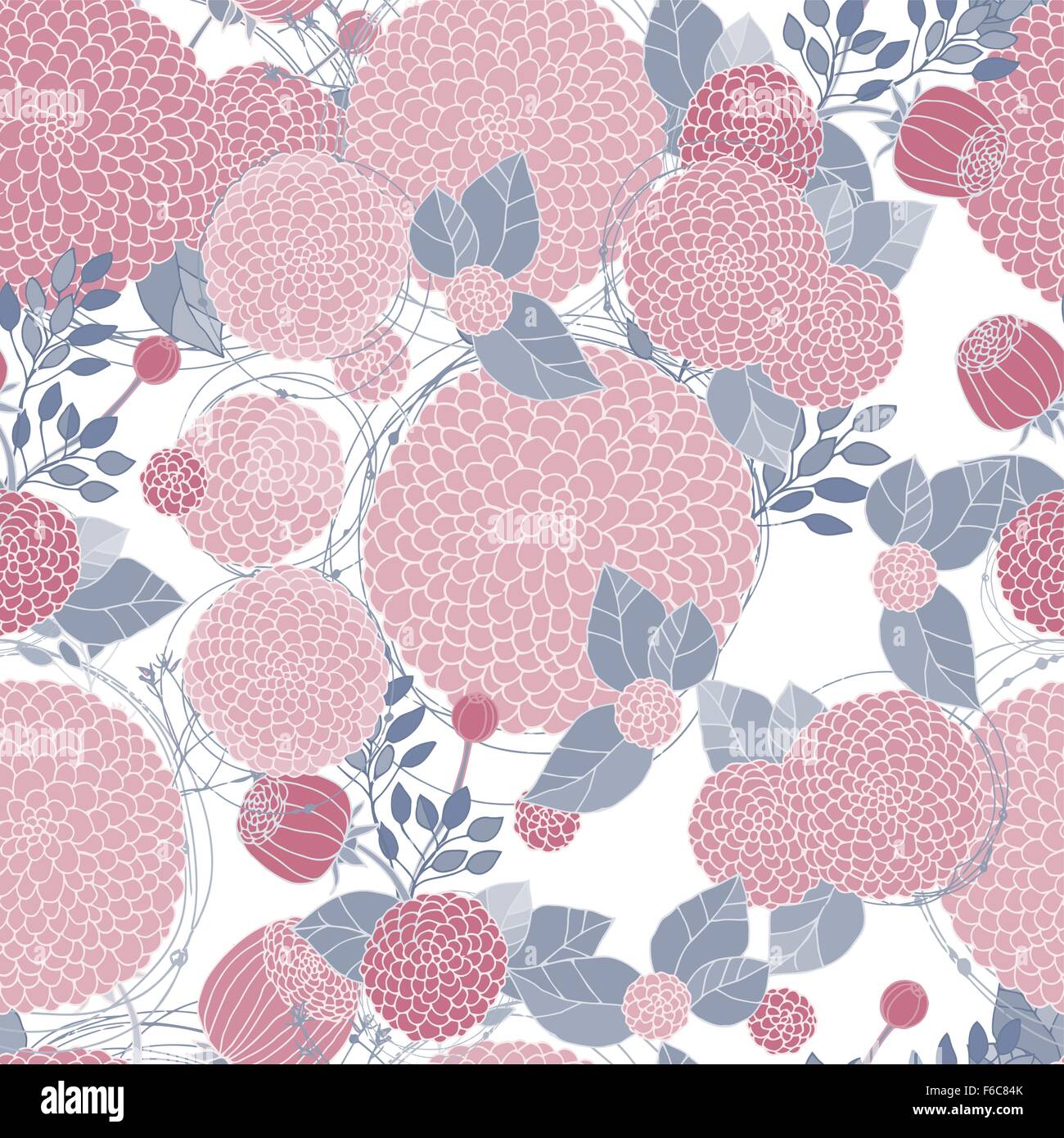 Seamless texture with asters Stock Vector Image & Art - Alamy