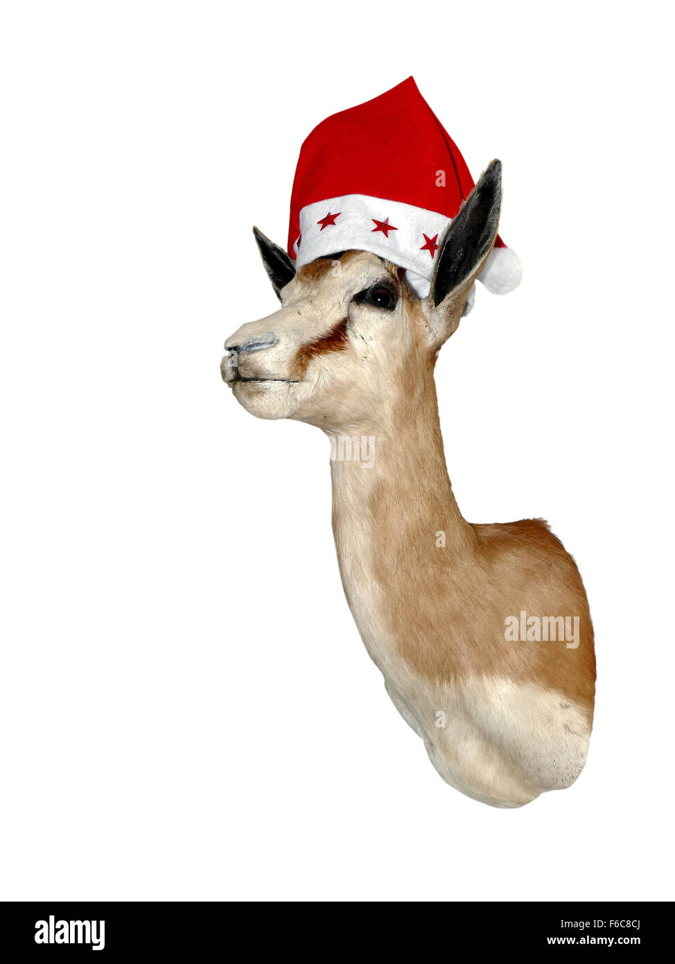 Shoulder front Cut Out Stock Images & Pictures - Alamy