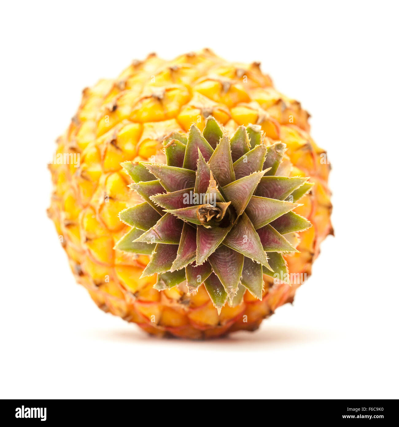 small ripe red and yellow pineapple isolated on white background Stock ...