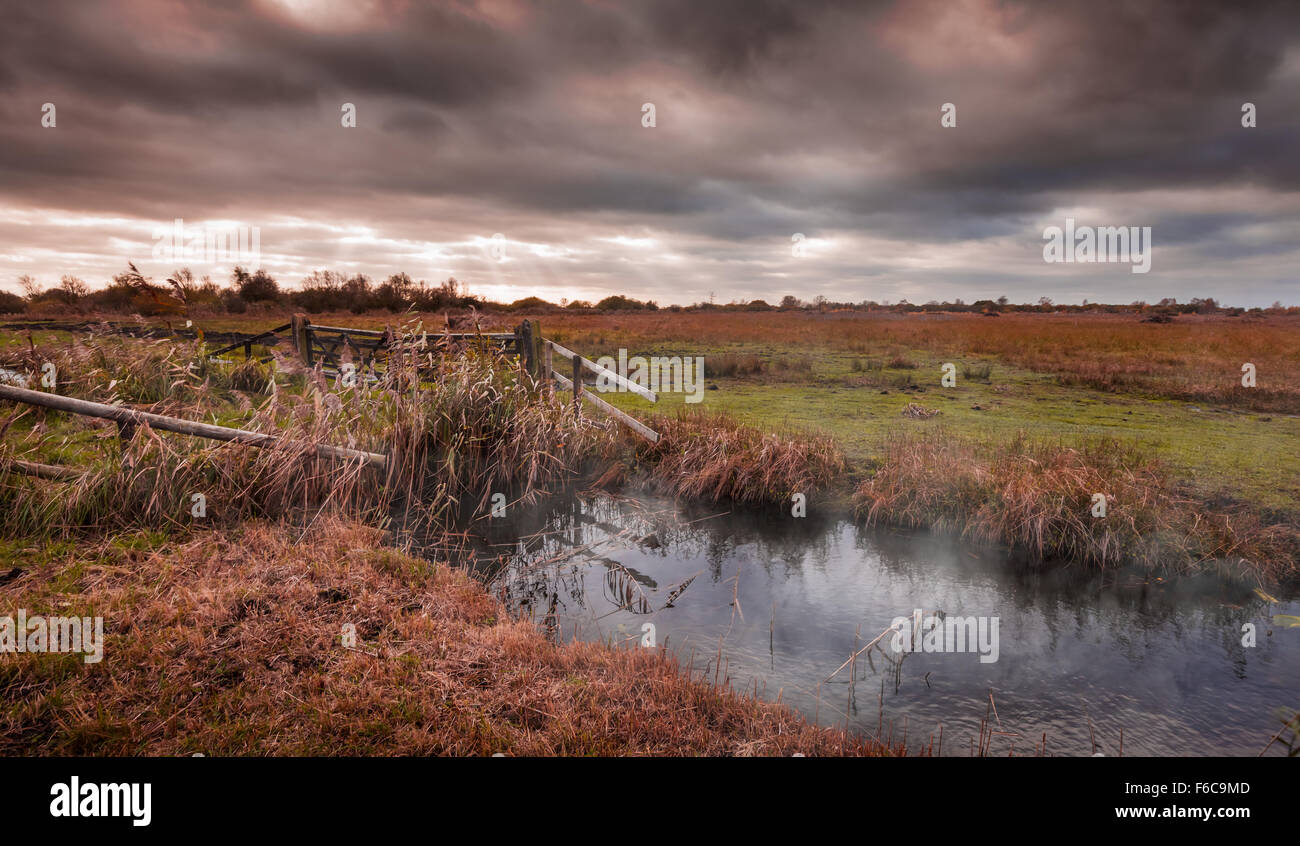 Dramatic autumnal fenland landscape with mist over a drainage ditch ...