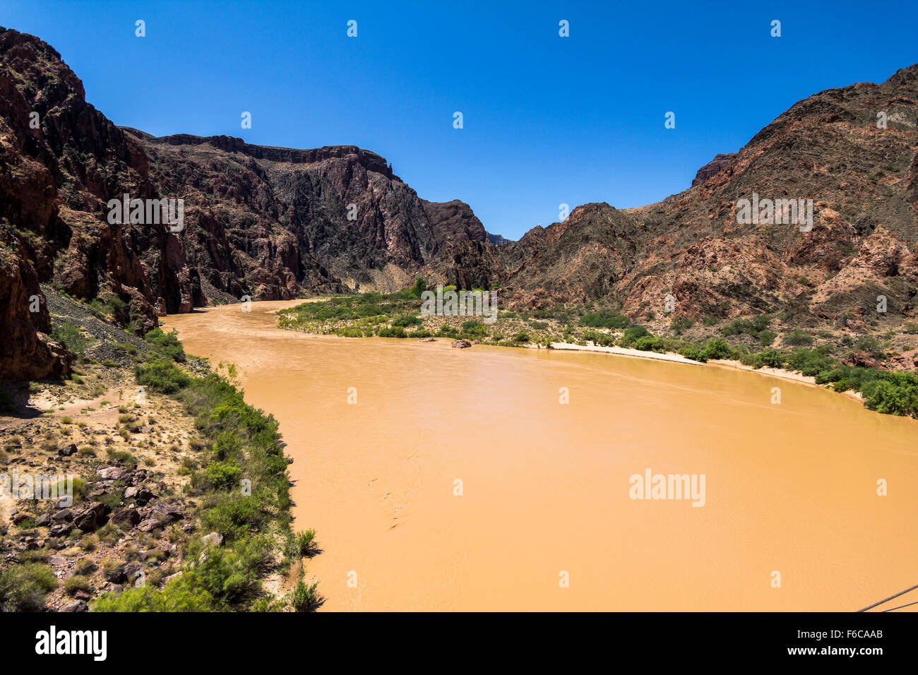View on Colorado River inside Grand Canyon Stock Photo - Alamy