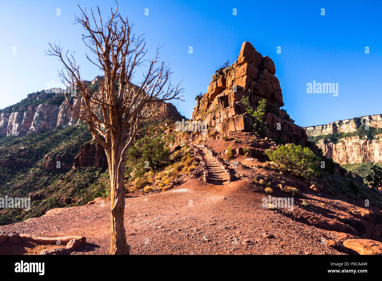 Grand Canyon Landscape Overview on Trail Stock Photo - Alamy