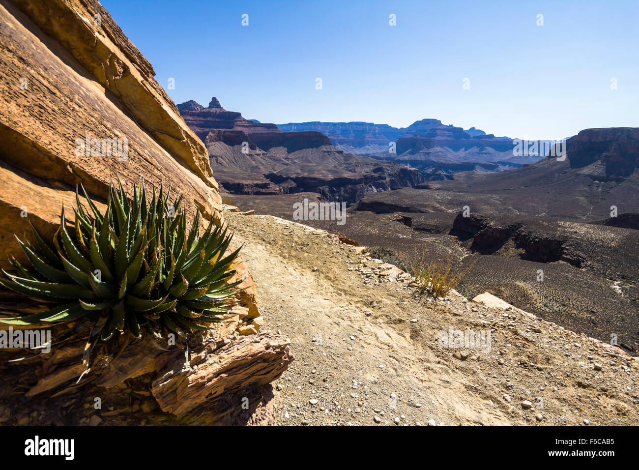 Grand Canyon Landscape Overview on Trail Stock Photo - Alamy