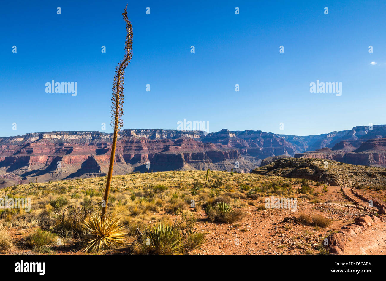 Grand Canyon Landscape Overview on Trail Stock Photo - Alamy